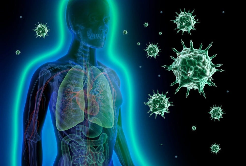 The Ultimate Year-Round Immunity Stack - by Derek