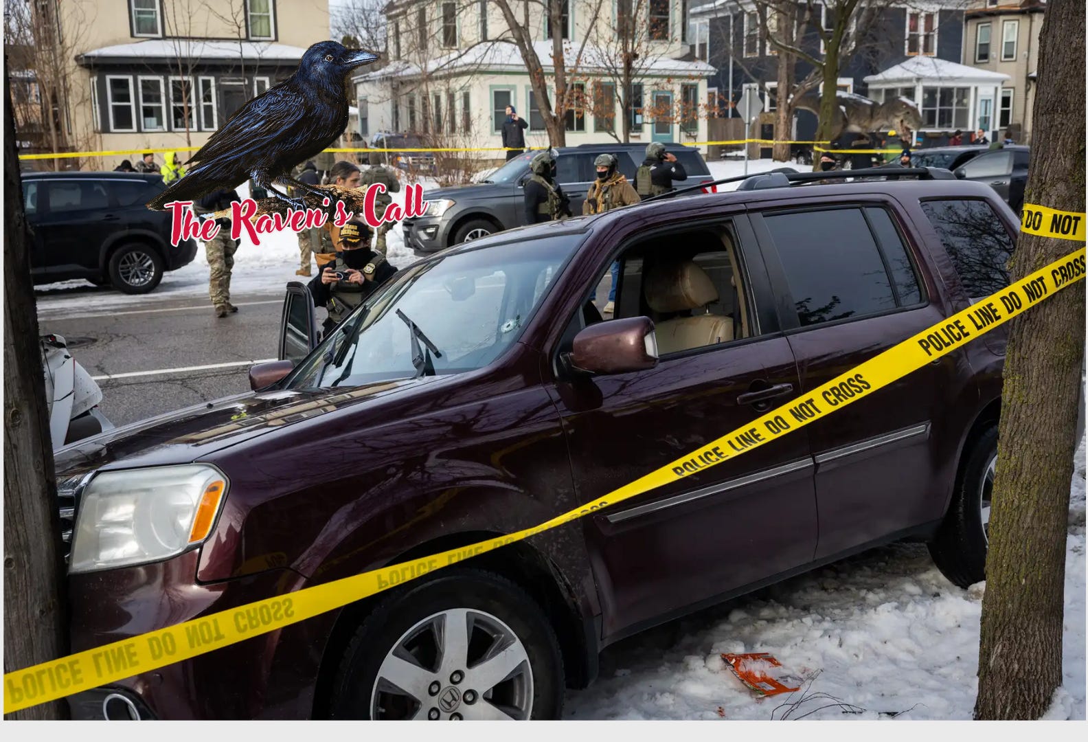 The Shooting of Renee Good - by Richard Parker