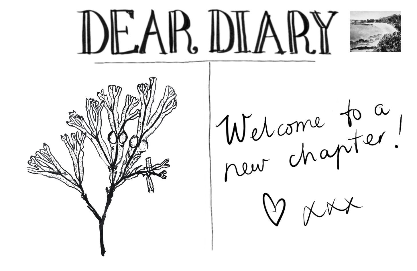 Diary of Delight | Introduction - by Sam Ashley