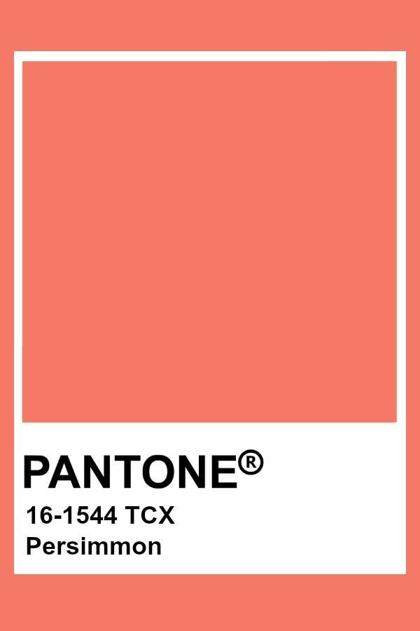 Salmon Color: Meaning, History, Fashion Trends & Interior Design Ideas