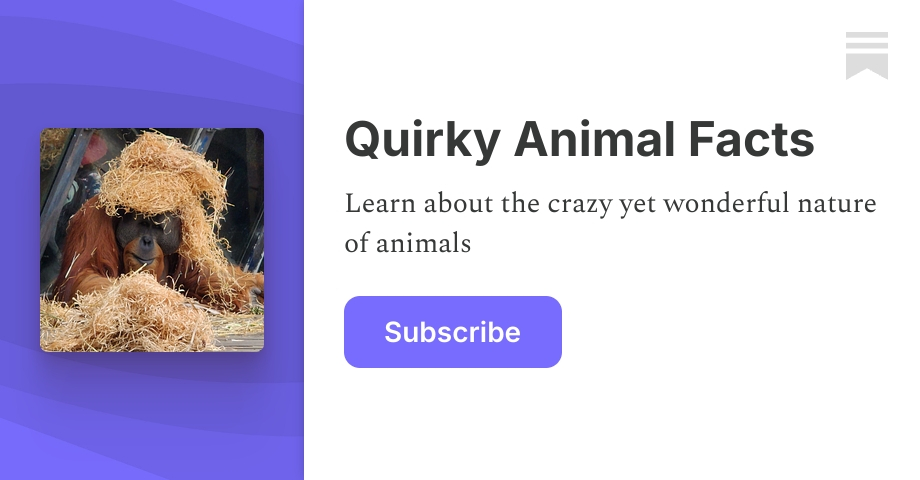Quirky Animal Facts | Tree Hugger | Substack