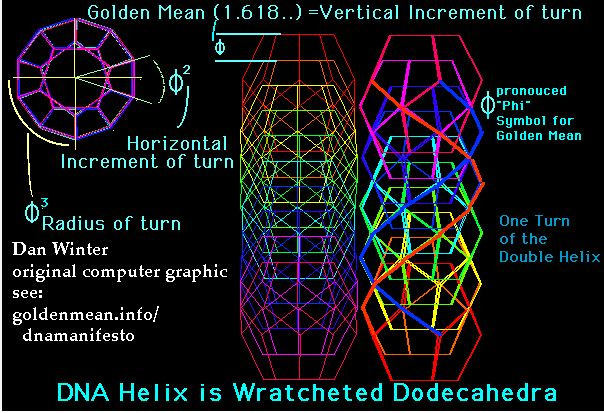 Why Stagnant Incoherent Water Creates Dysfunction & Disease