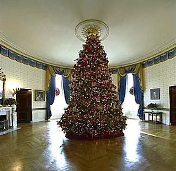 History of the Christmas Tree - by Bill Petro