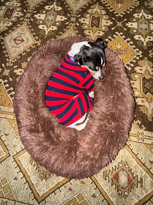 henry farrell substack