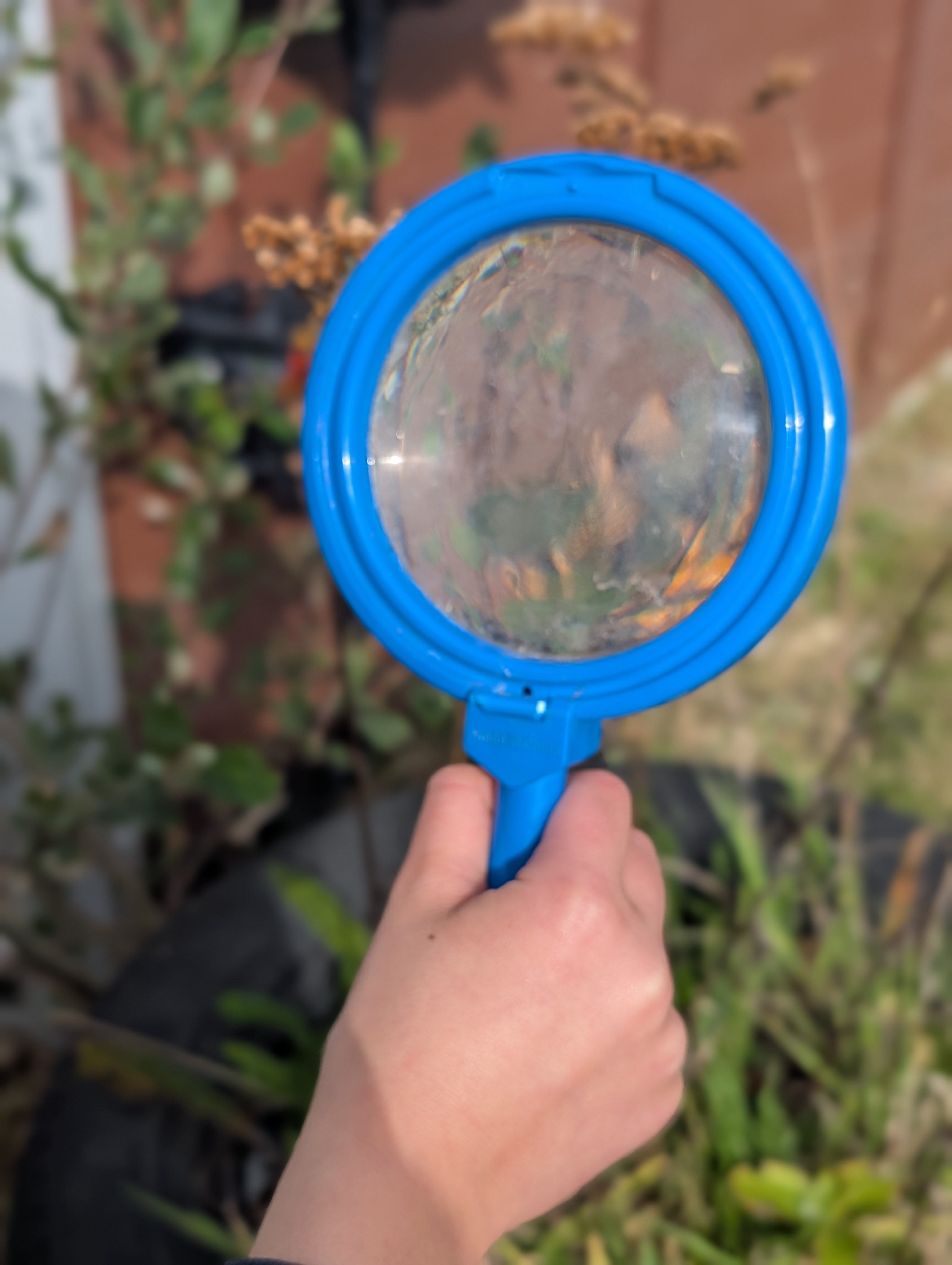 Adventures in Nature's Classroom - by Jennifer-Ann Lovelle