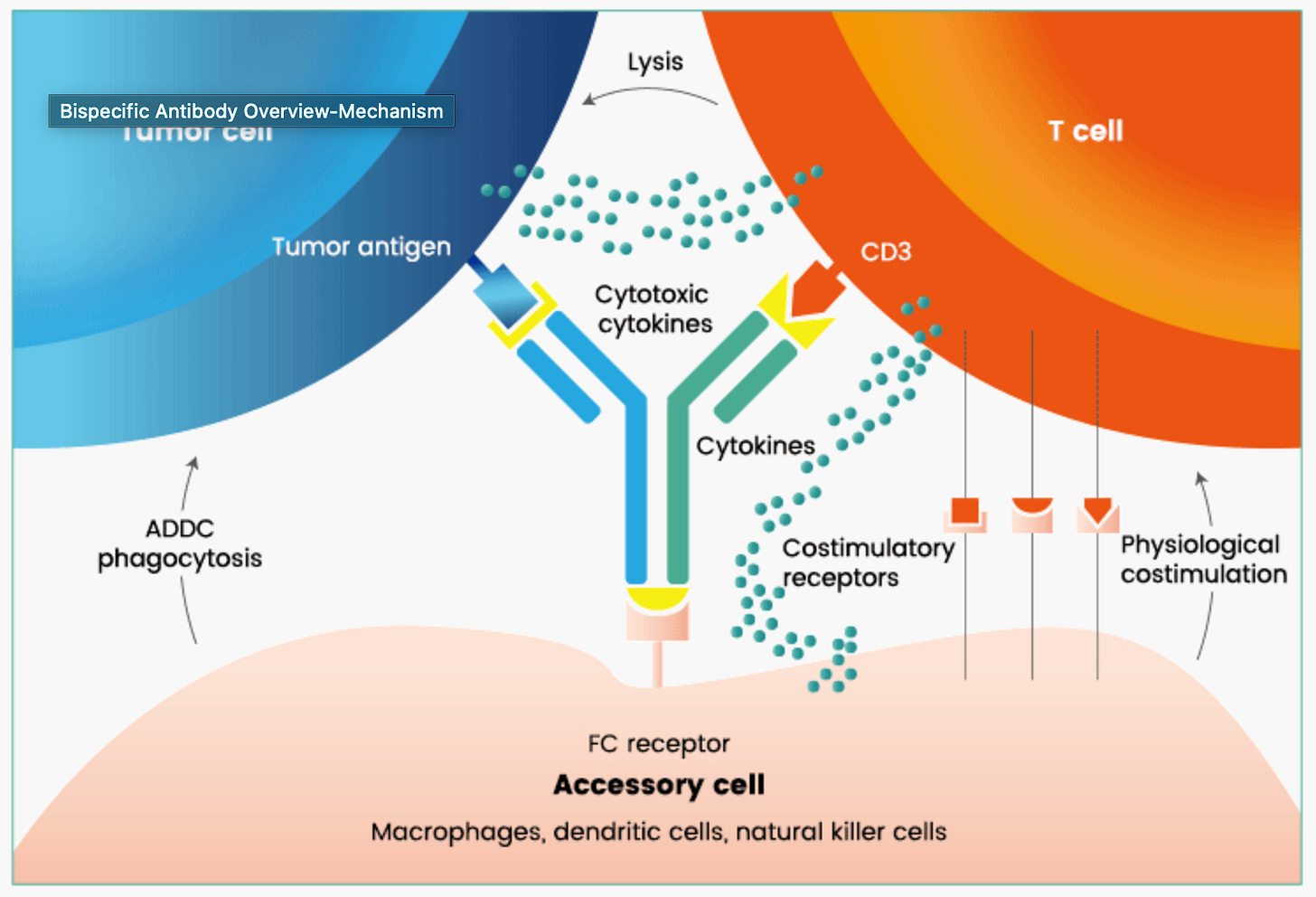 Abcellera: the Palantir of Biotech - by Antonio Linares