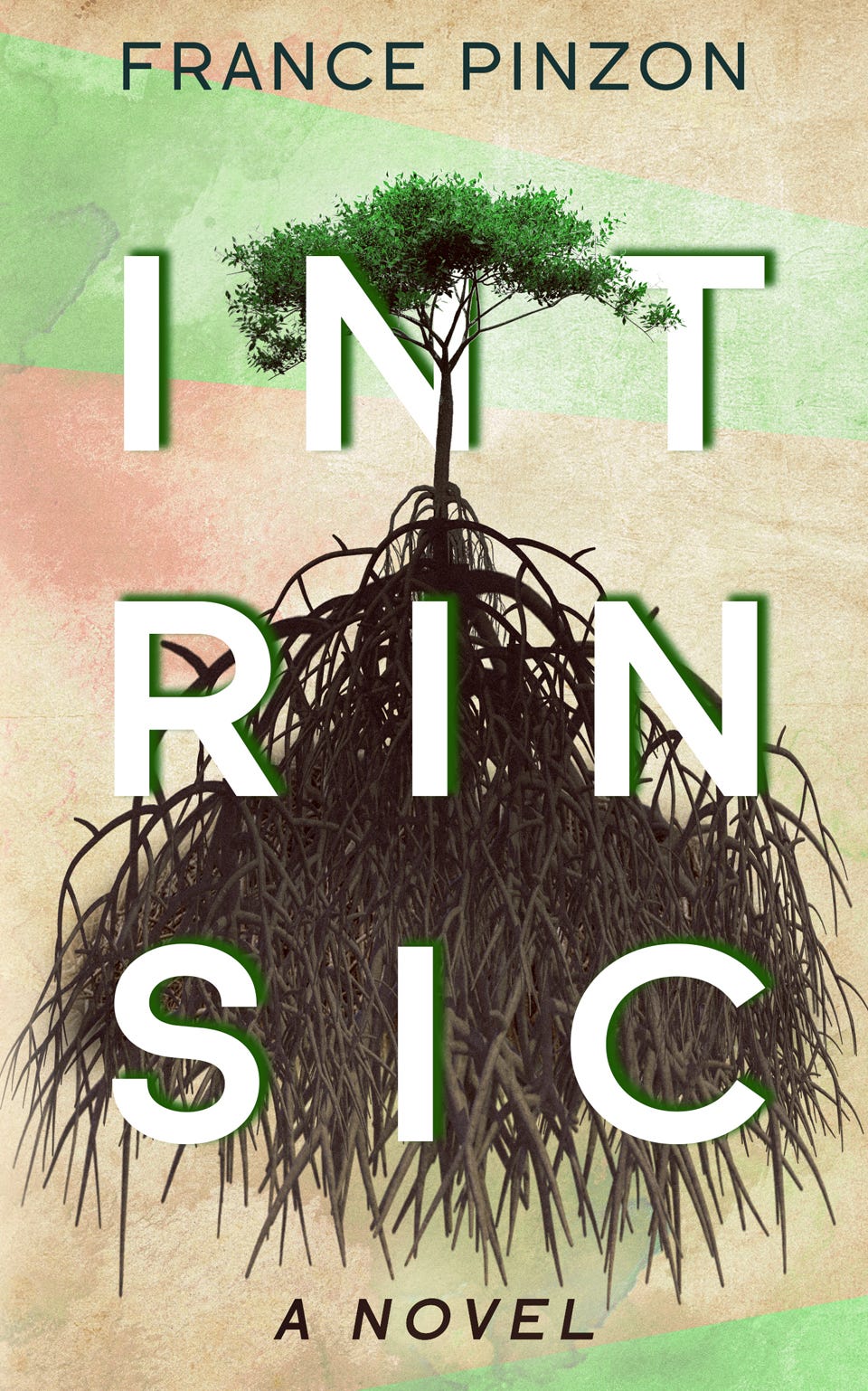 Intrinsic: A Novel—Coming Soon