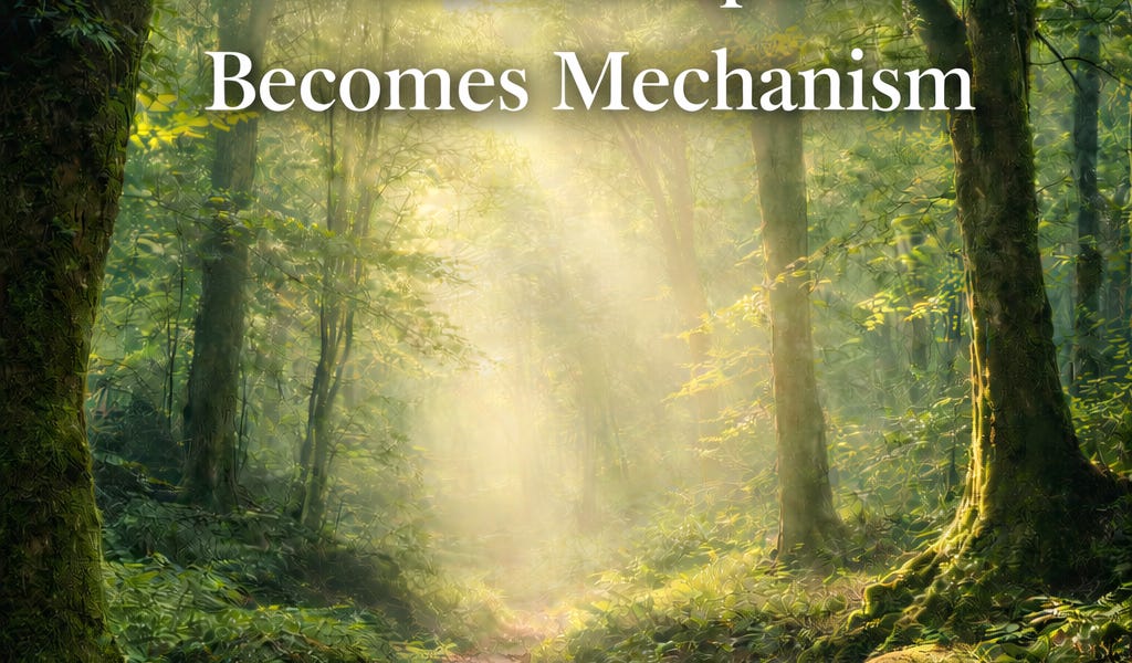 When Metaphor Becomes Mechanism - Nancy Thames