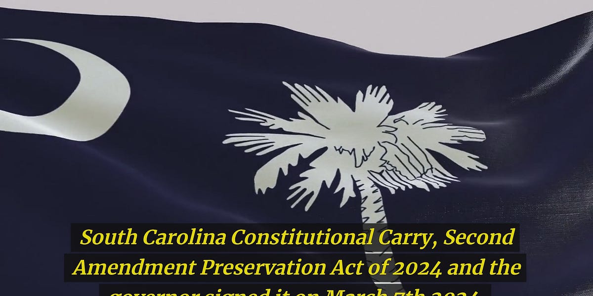 South Carolina Constitutional Maybe Carry