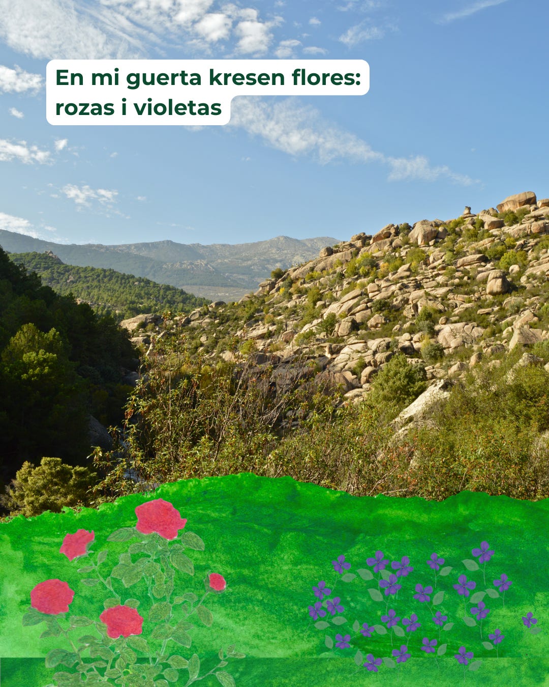 En Mi Guerta: In My Garden - Naomi Spector