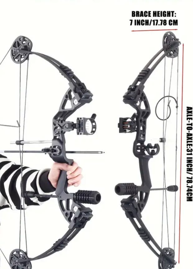 Top 10 Compound Bows on Temu with Big-Brand Quality at Half the Price