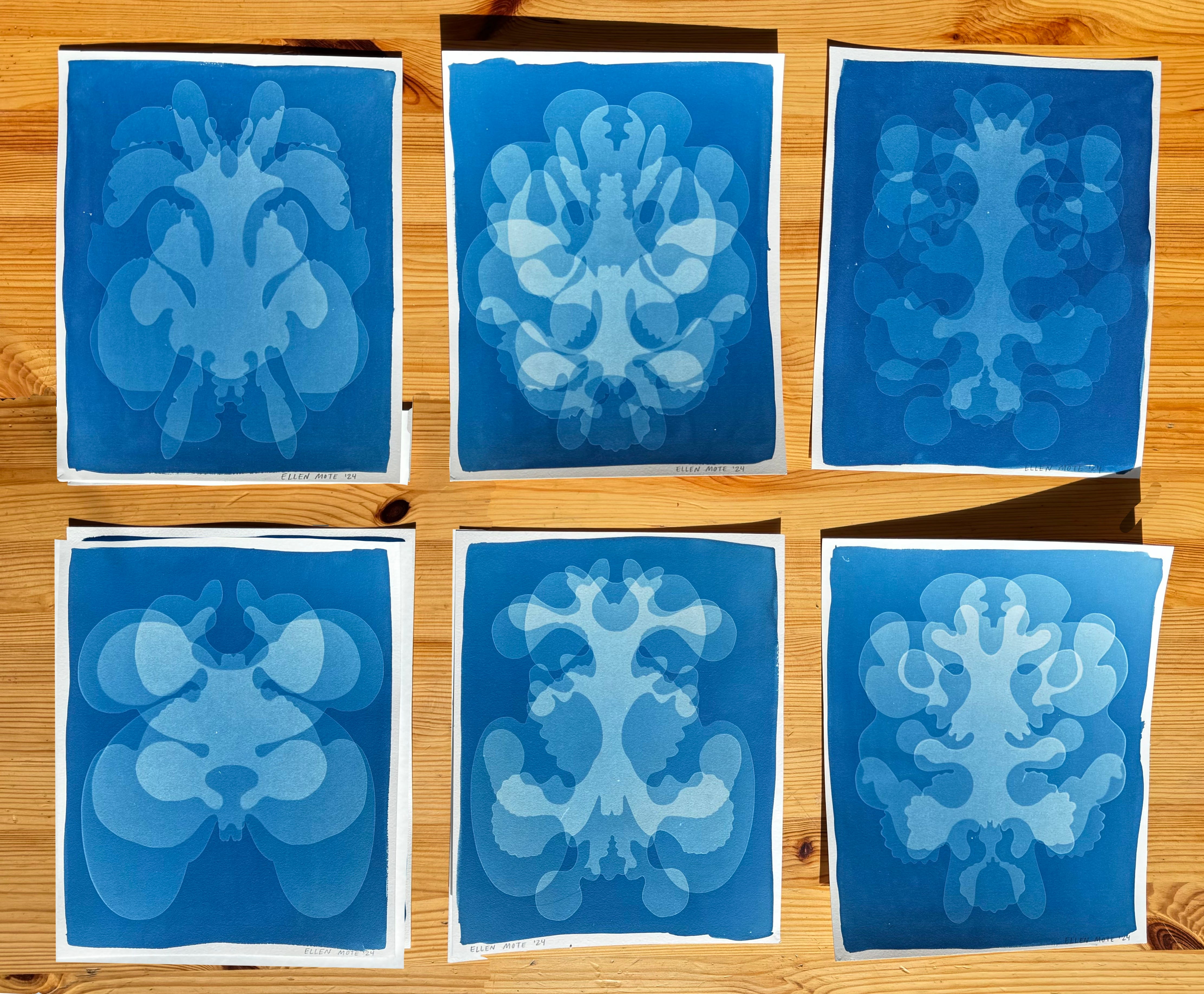 Cyanotypes - new series of works on paper - by Ellen Mote