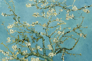 Campo Visual | Adriana Herreros | Substack