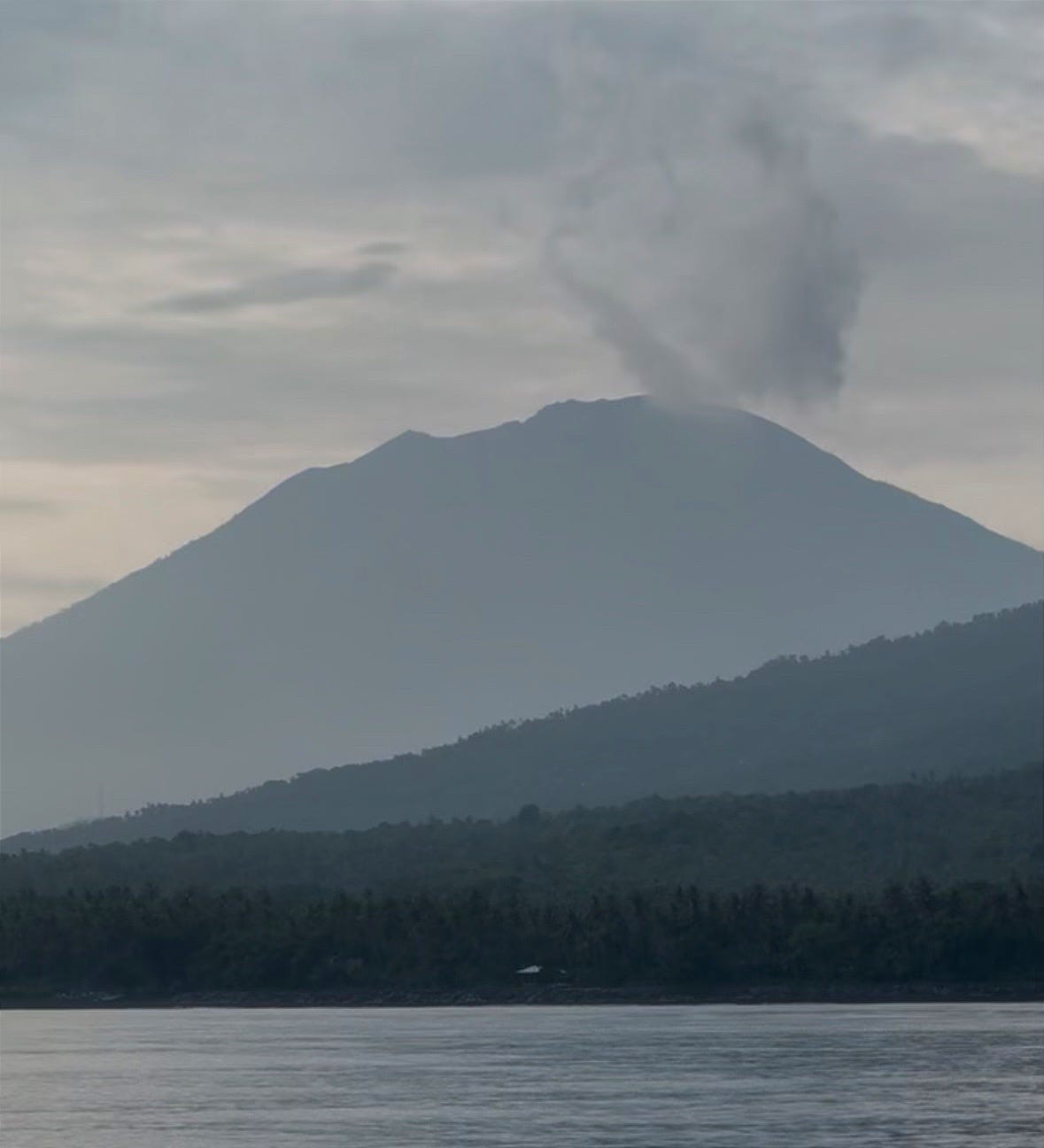 The Foray's 2026 Manifesto - by Jasmine McBride - Forays