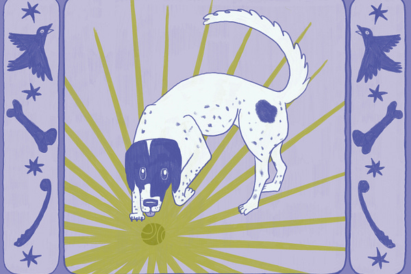 Studio Snippets | Studio Maddy | Substack