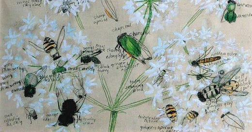 Deborah Vass | Substack