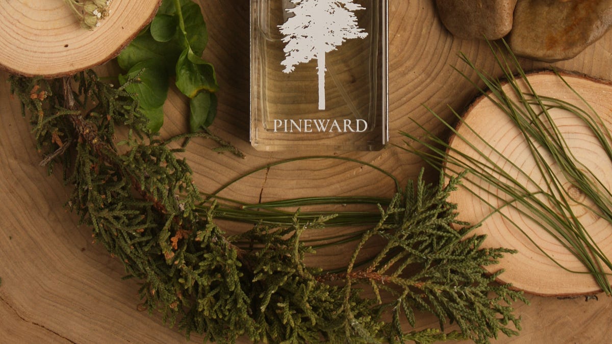HOLY CROSS: Available Now in the Pineward Store