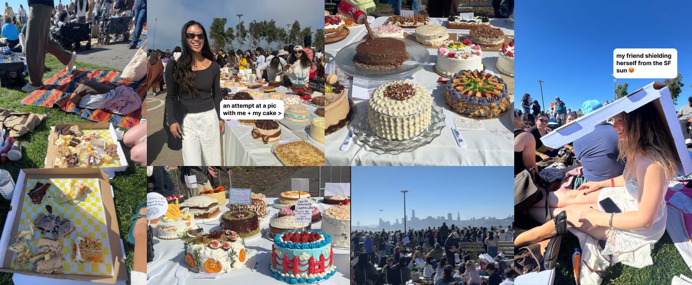 How 2000 Cakes Reminded Me to Touch Grass