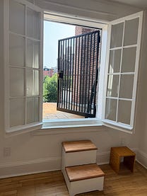 Margot Lee | Substack