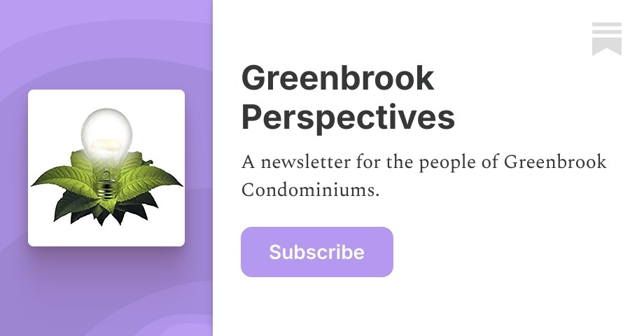 Greenbrook Perspectives | Substack