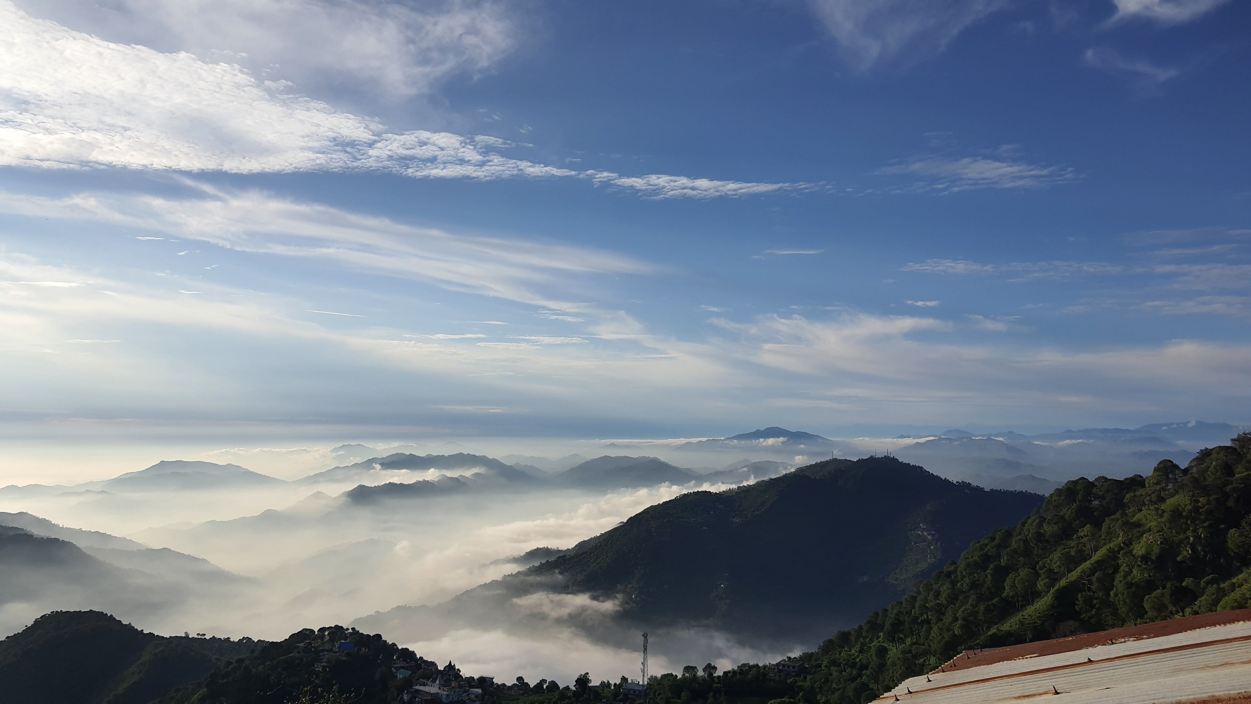 Meet The Little Red Dots