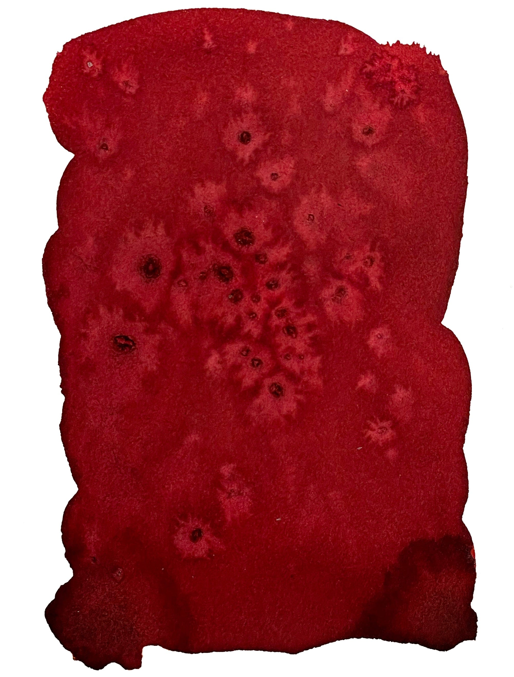 Watercolor and Salt - by Ann B Miller - Getting Inky