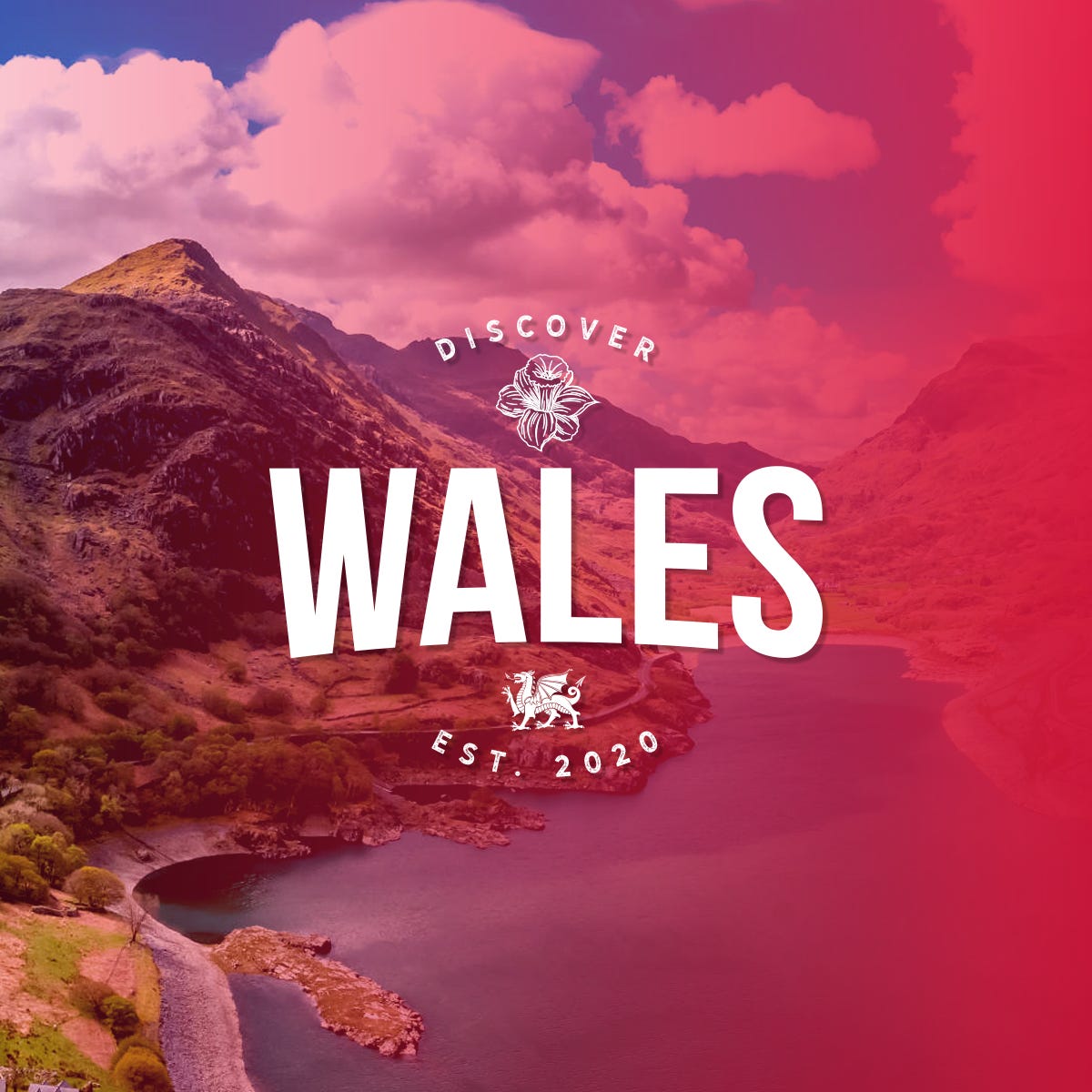 Wales.org | Substack