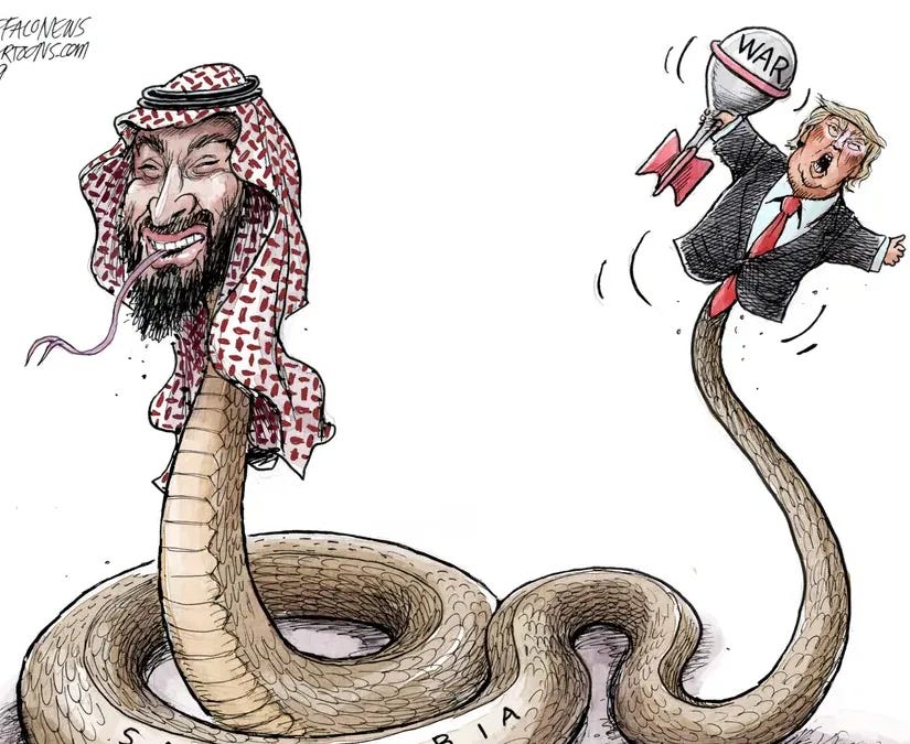 The Complicit Scholar - by Mohammed Khaku