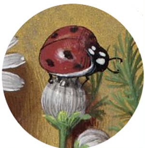 The Ladybug’s Advent Message - by Skip