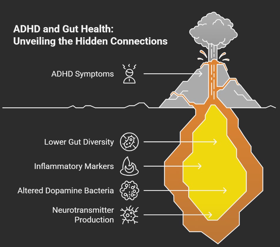 🧠 ADHD & Probiotics: Can Your Gut Really Help Your Brain Focus?