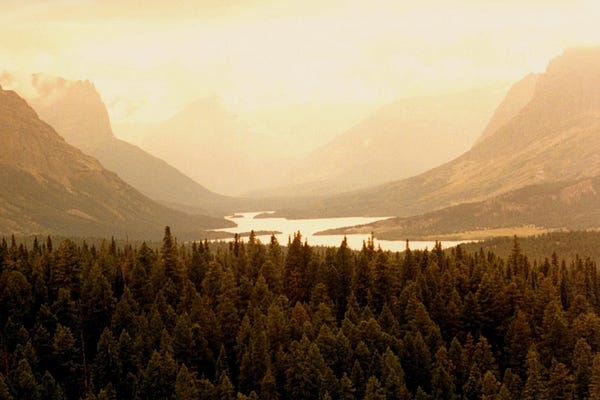 Everyday Heaven...Live Each Extraordinary Day | Cheryl Dalsanders | Substack