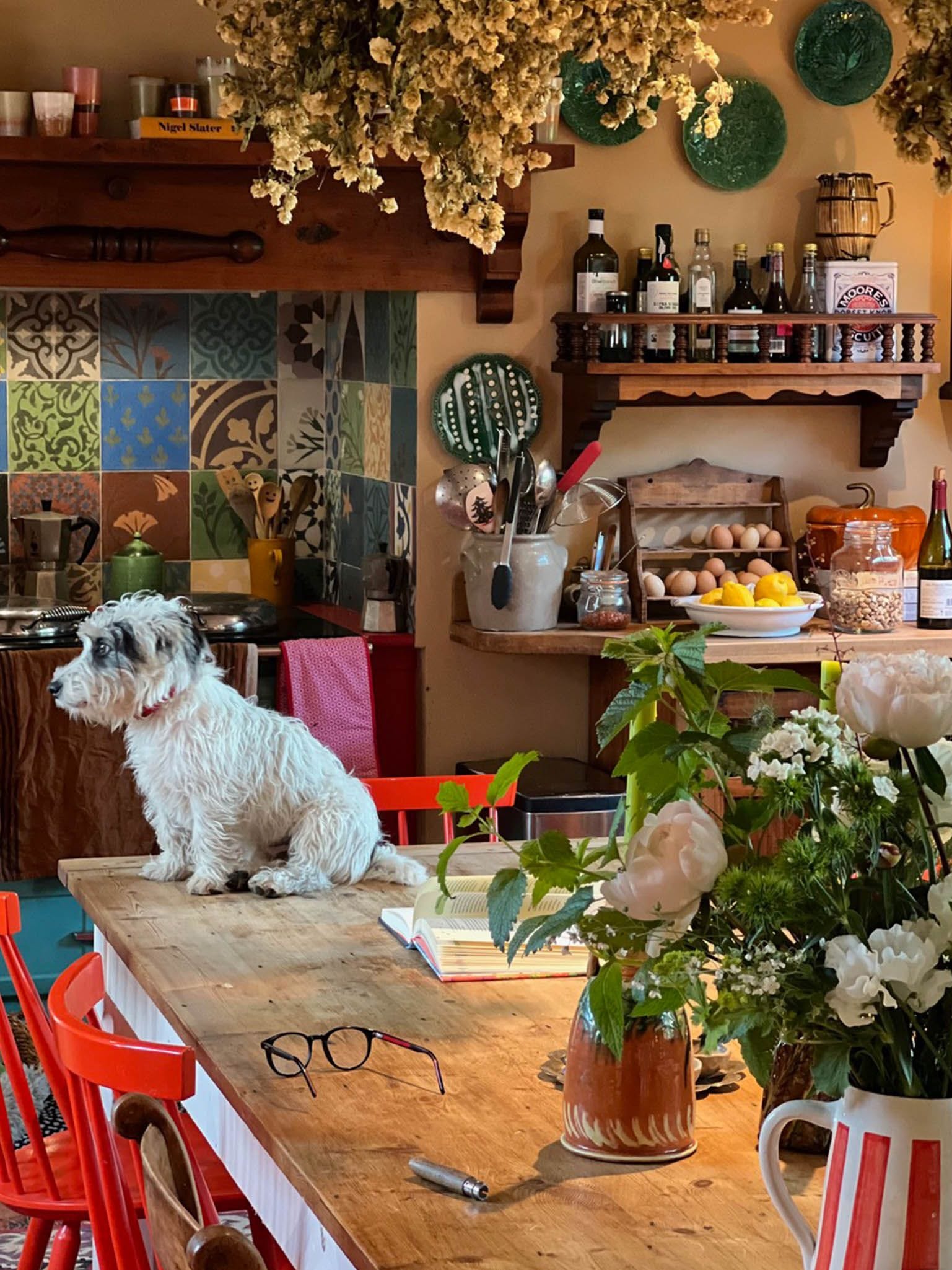 India Knight on her love of home - by Willow Crossley