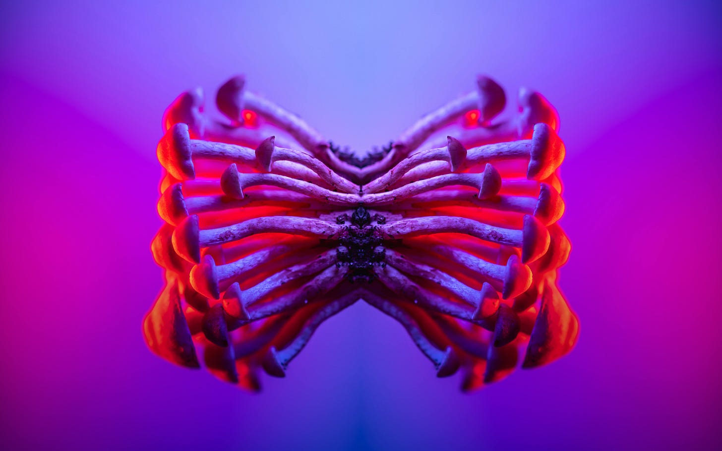 Why AI hallucinates and what can you do about it