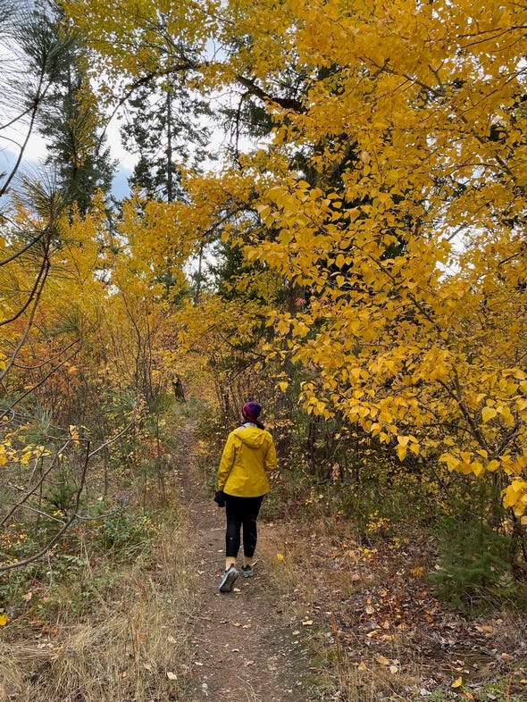 THANKS-GIVING FOR FRONTIER SCIENTISTS - by Jeane Manning
