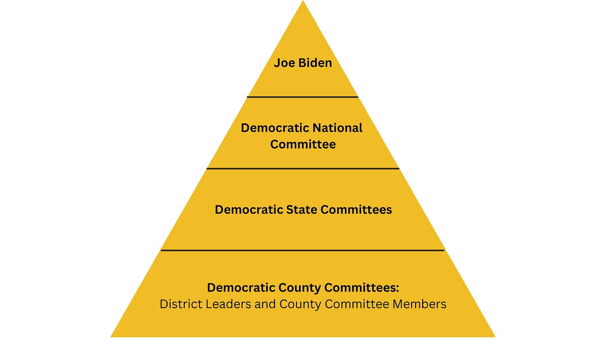 How Does the Democratic Party Work? A Guide to County Committees and ...