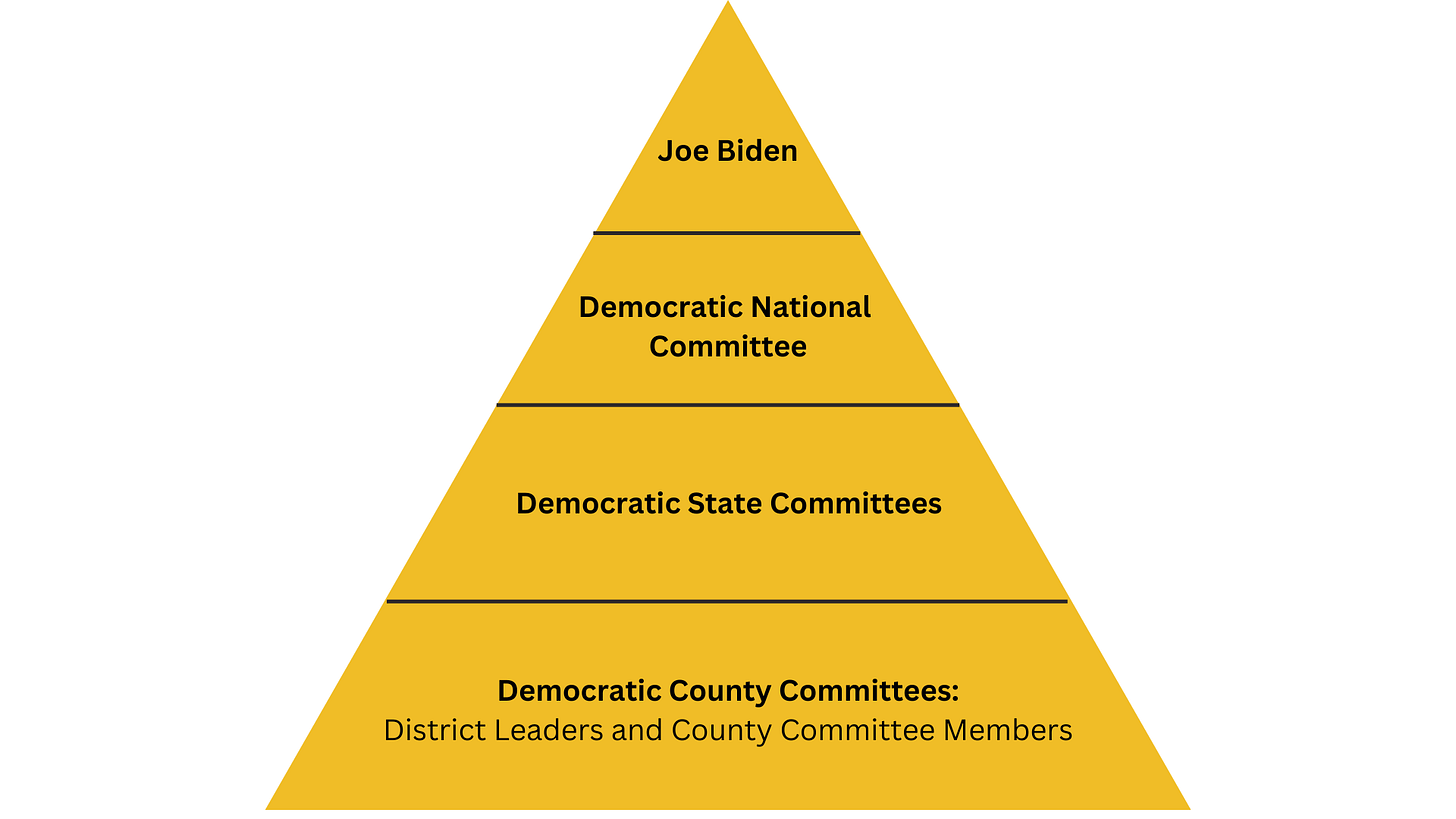 How Does the Democratic Party Work? A Guide to County Committees and ...