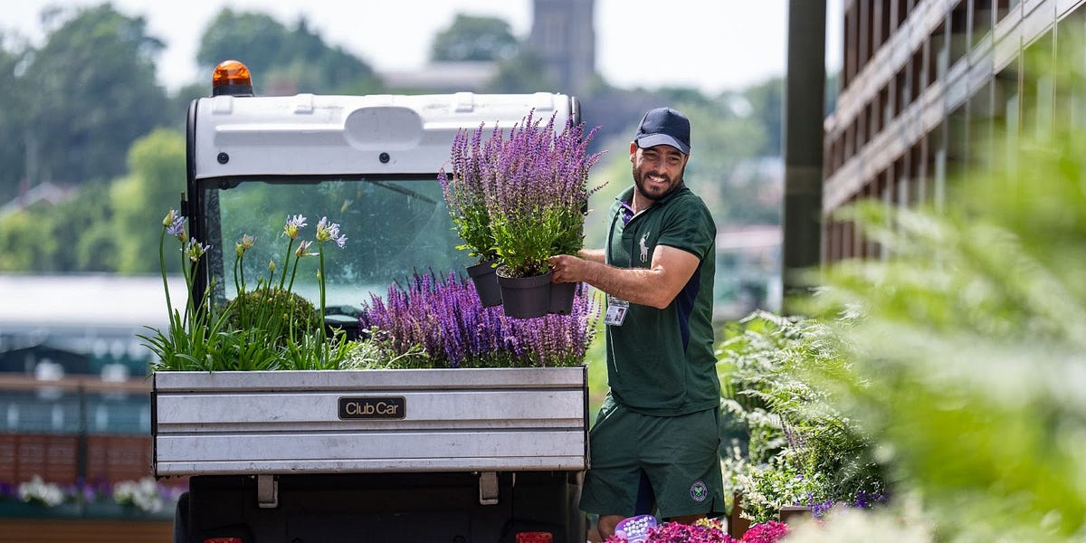 The hidden heroes of the tennis - by Zak Asgard