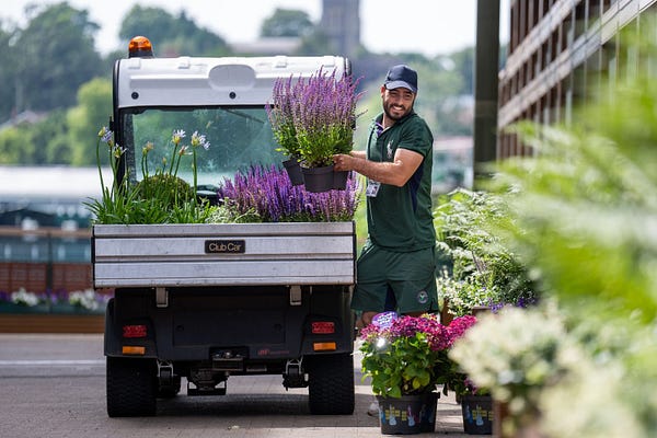 The Wimble | Substack