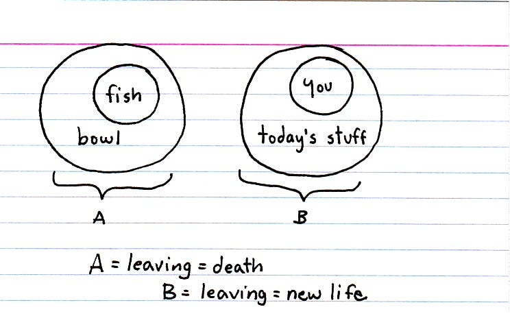 Breaking Out of the Fishbowl: Embracing Change for Growth