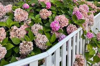 The Dinner Club | Harrison Wallace | Substack