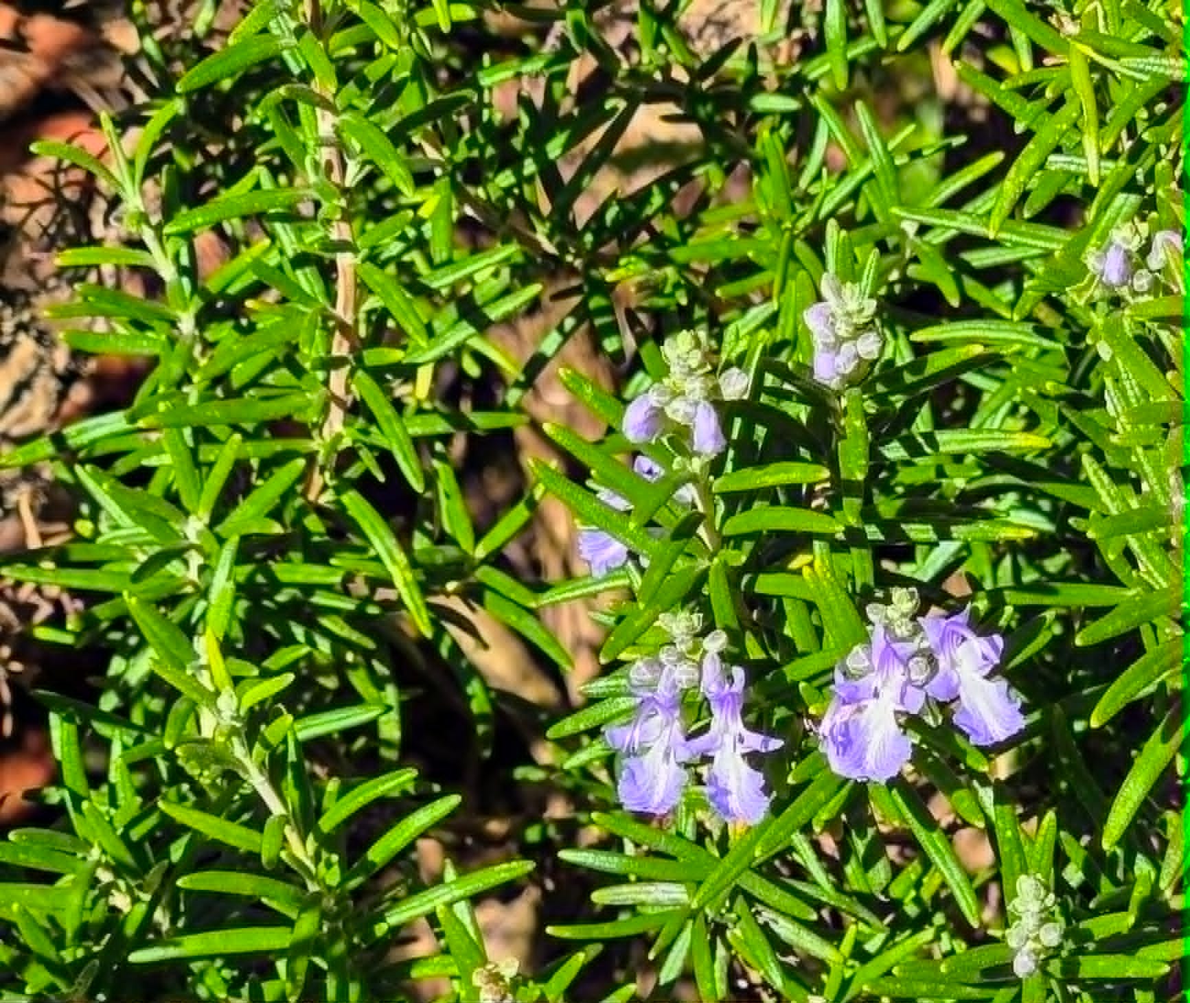 Reflections on the Release of Novel #23 – But Who’s Counting? | Blue ...