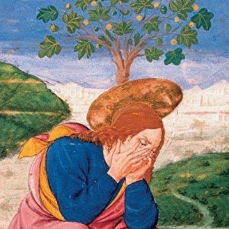 Saint Augustine, pears, and "mimetic cascades"
