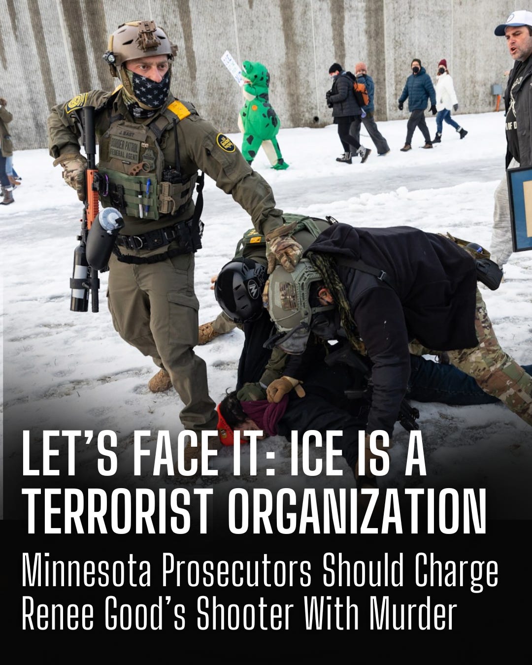 ICE Is Not A Normal Police Force. It's A Domestic Terrorist ...