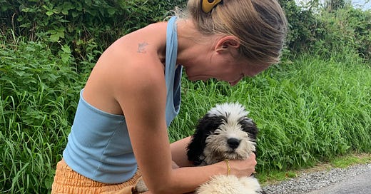 On The Go Mushrooms | Rory | Substack