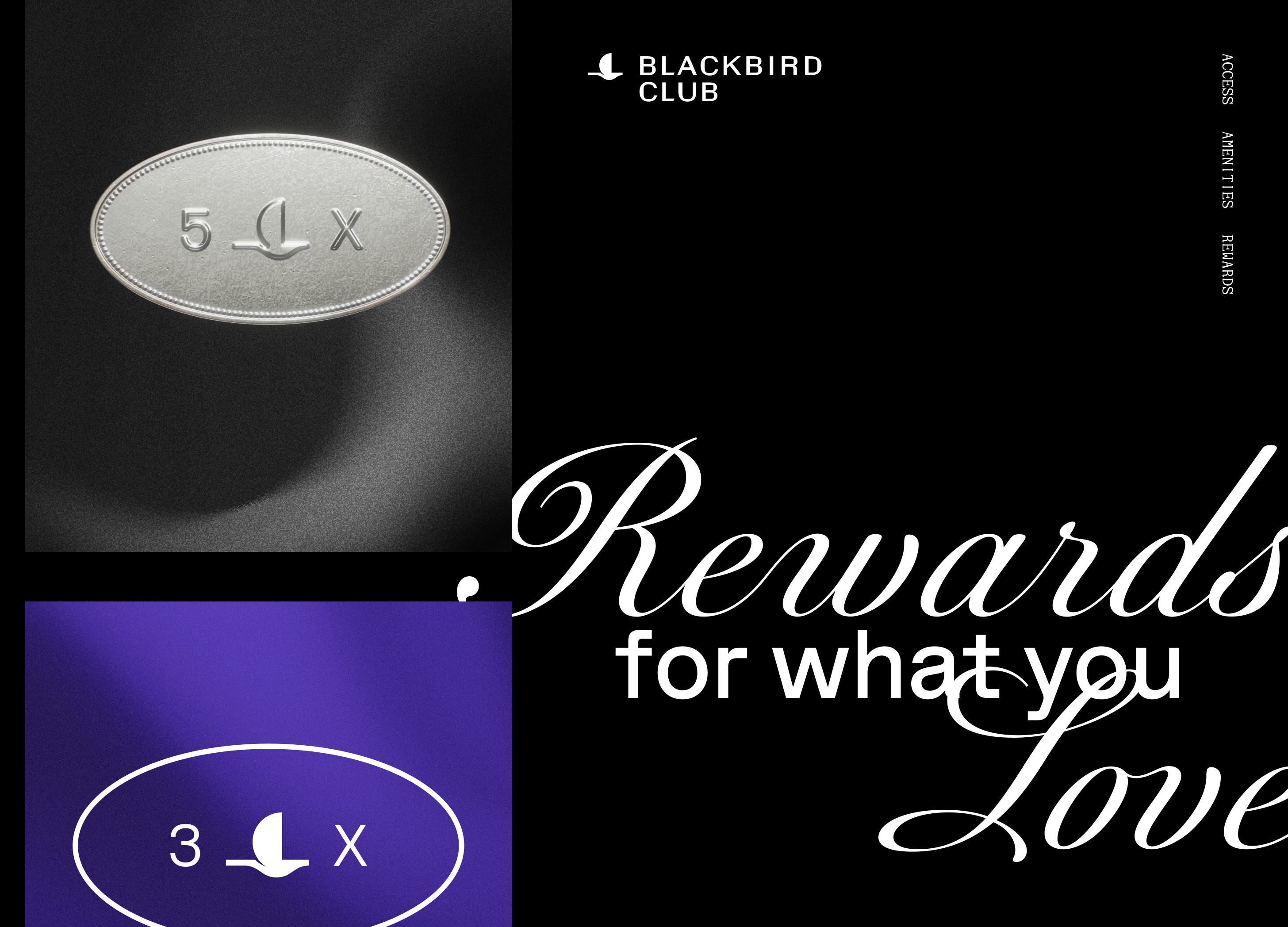 Introducing the Blackbird Club - by Blackbird Labs, Inc.