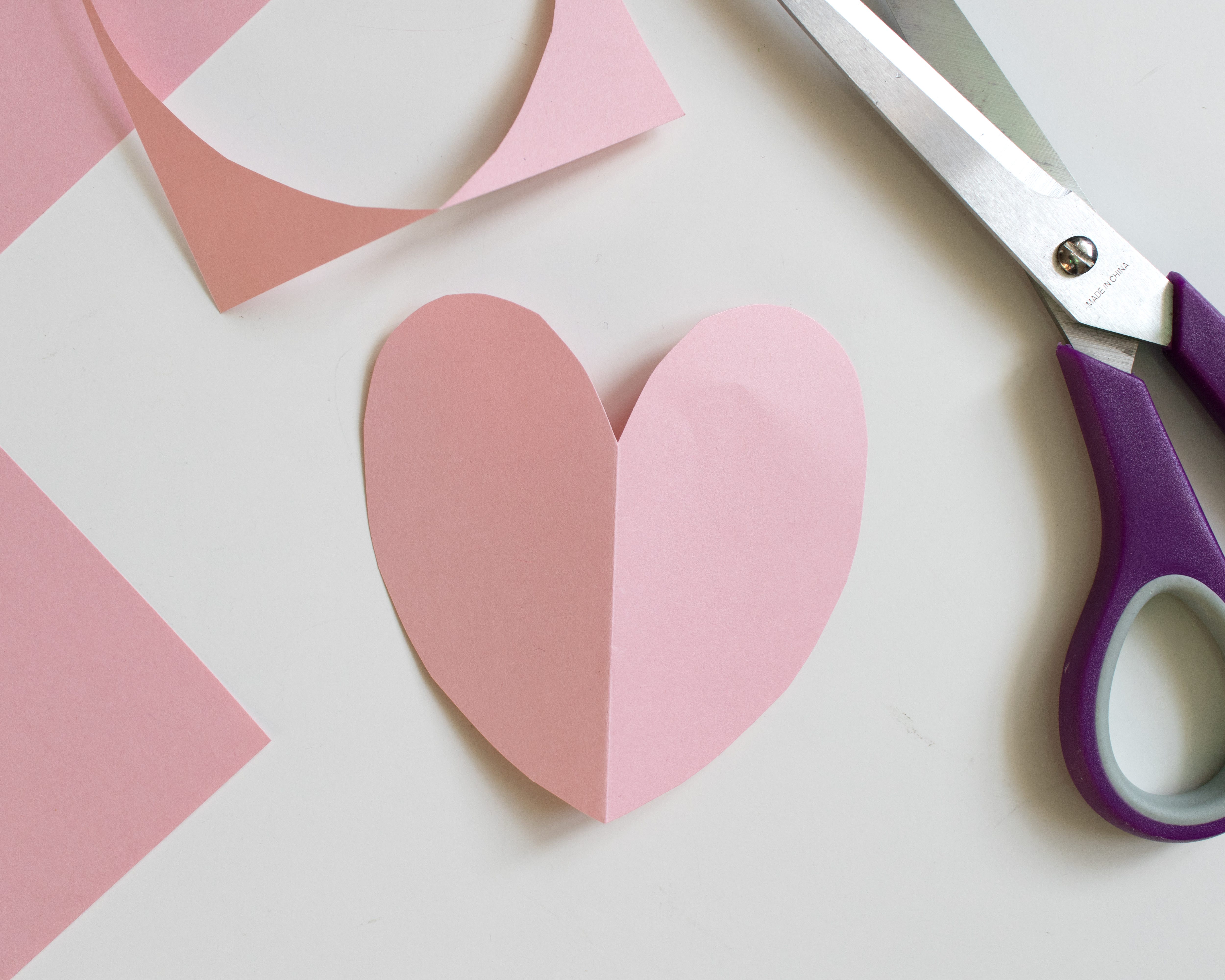 The Heart in the Hand