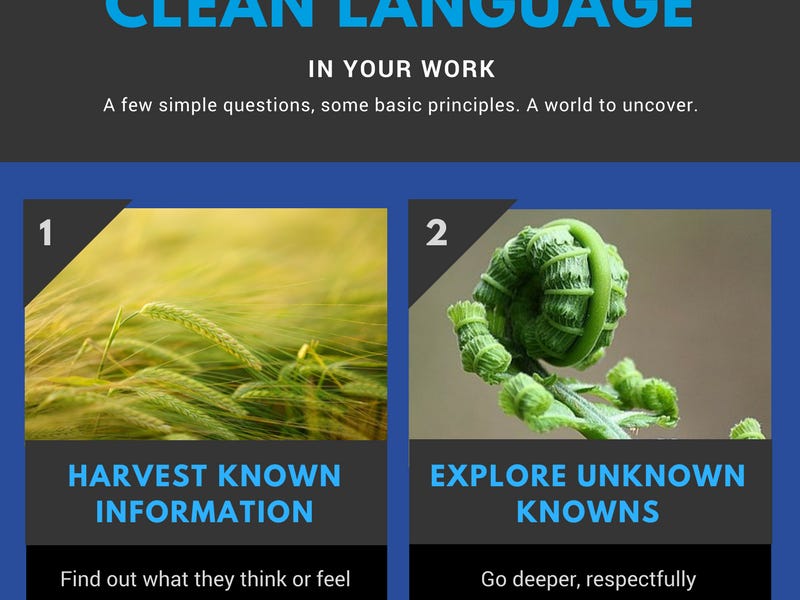Six Ways To Use Clean Language In Your Work – A Clean Language Infographic