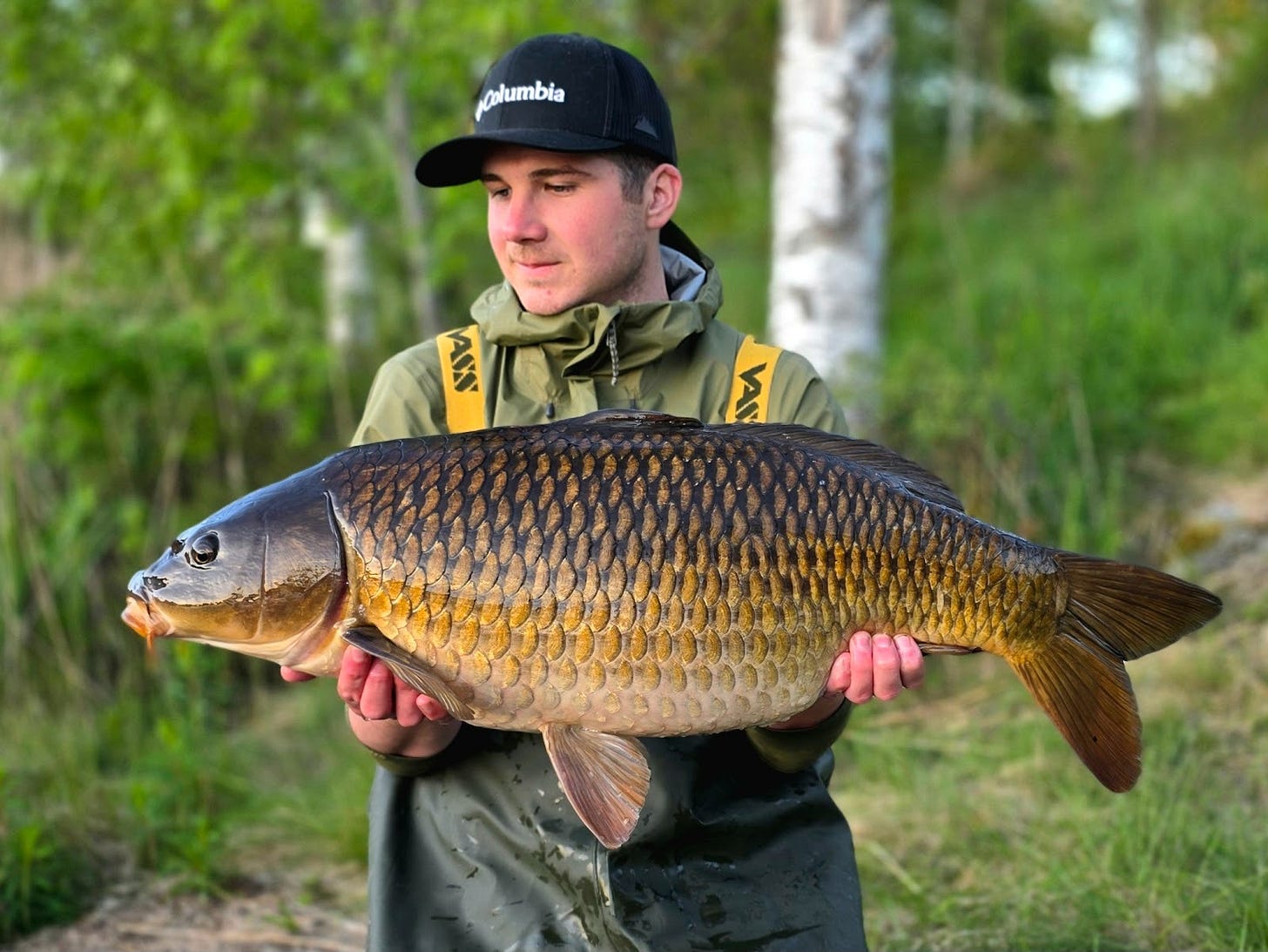 The Classic Hair Rig: How to Tie Carp Fishing’s Most Reliable Rig