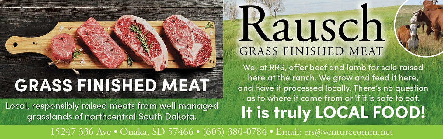 South Dakota Sec. of State Monae Johnson announces reelection bid