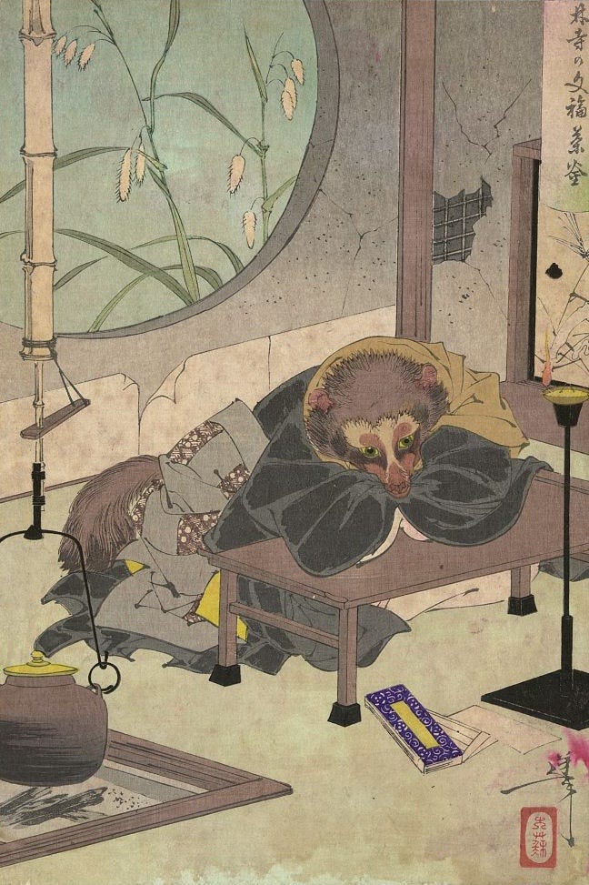 Tanuki - Hanashi by Curious Ordinary